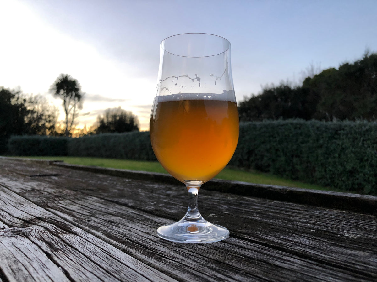 Mountain IPA - A New Style Emerges from The Ever-Evolving IPA ...